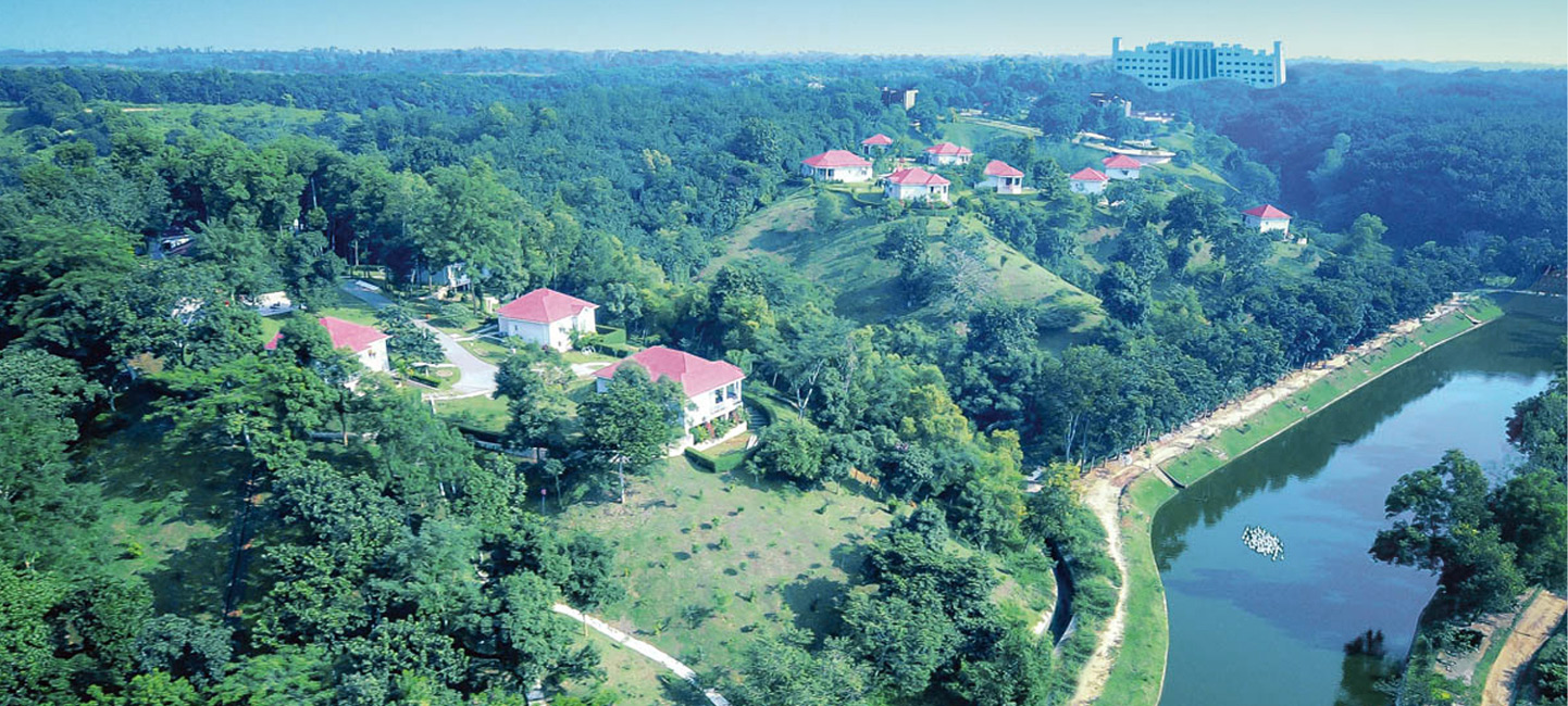 Home - The Palace Resort & Spa